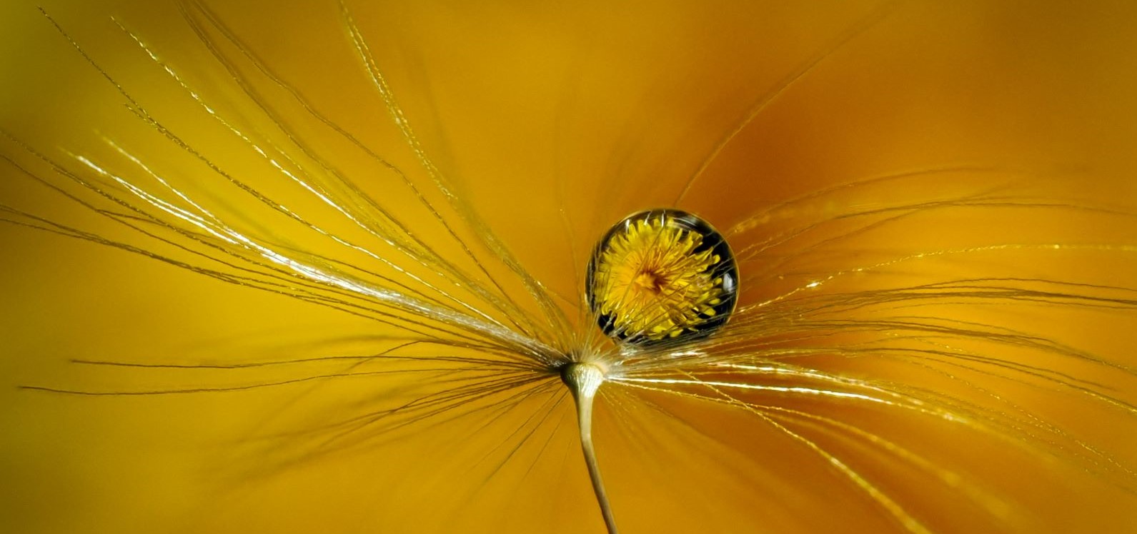 Women With Vision feat. OM SYSTEM Ambassador Emilie Talpin - OM SYSTEM