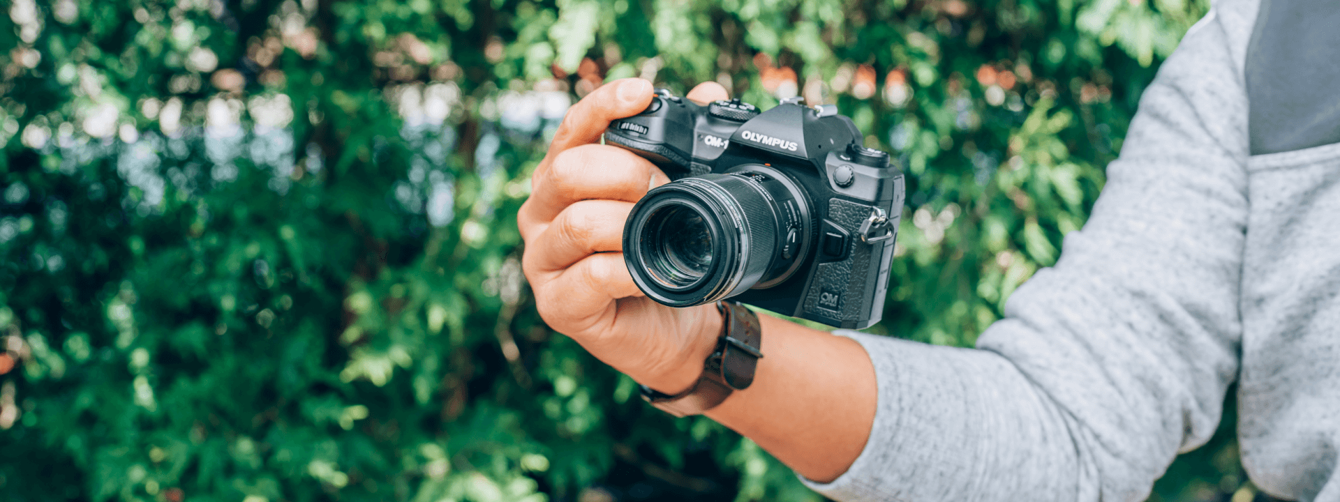 Makrofotografie mit Olympus/OM SYSTEM mit Nils Häussler - OM SYSTEM