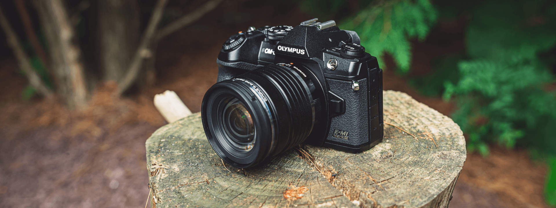 How I Setup My OM-D Camera - OM SYSTEM