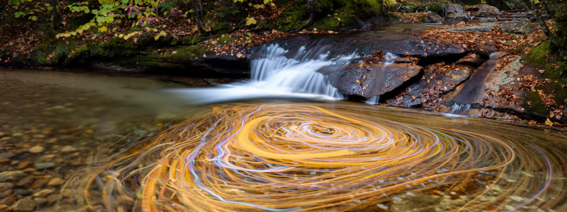 Workshop: Slow Walking – Reconnecting and Finding your Happy Place in ...