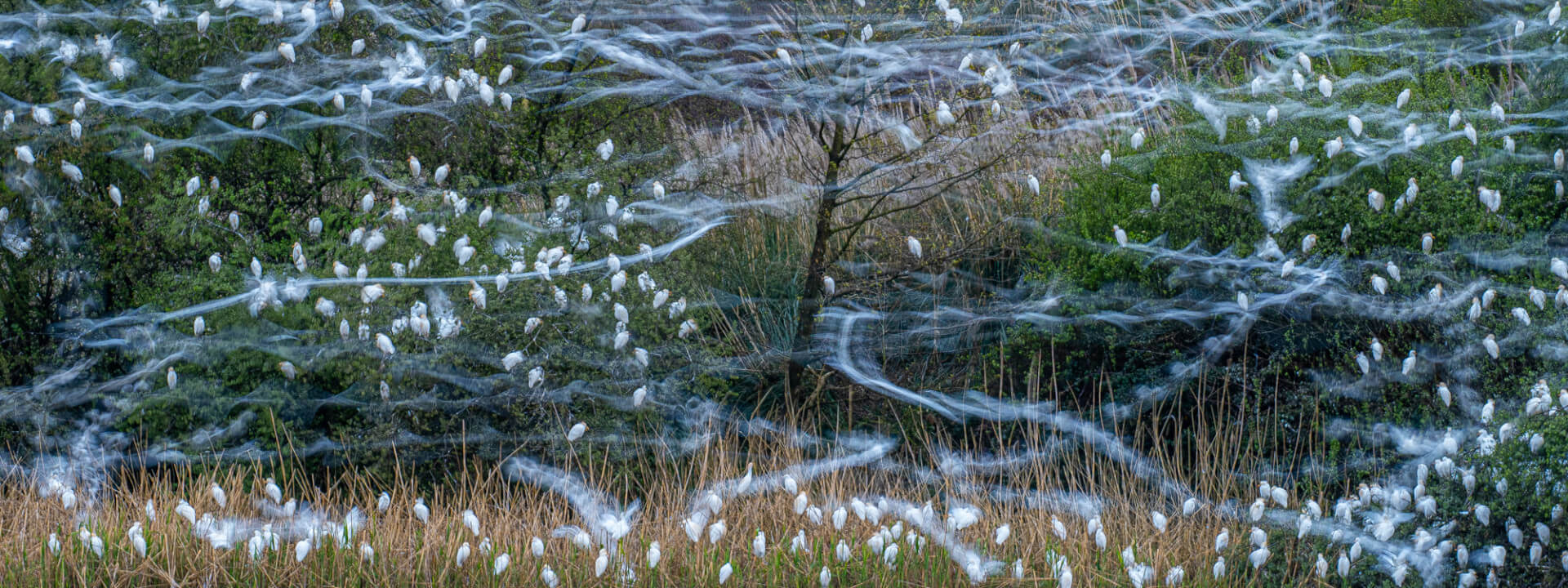 Sesiones OM: Modos LIVE (Bulb, Time, Composite) - OM SYSTEM