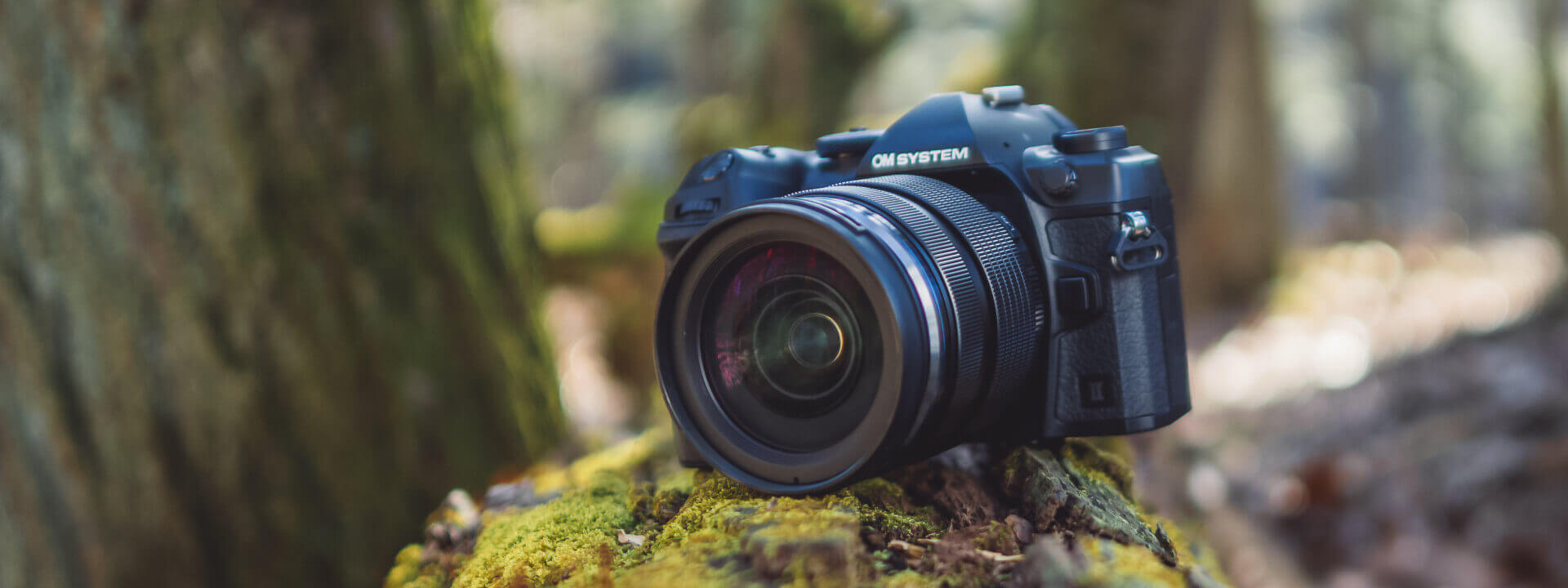 Get To Know Your OM-1 Series: Auto Focus - OM SYSTEM