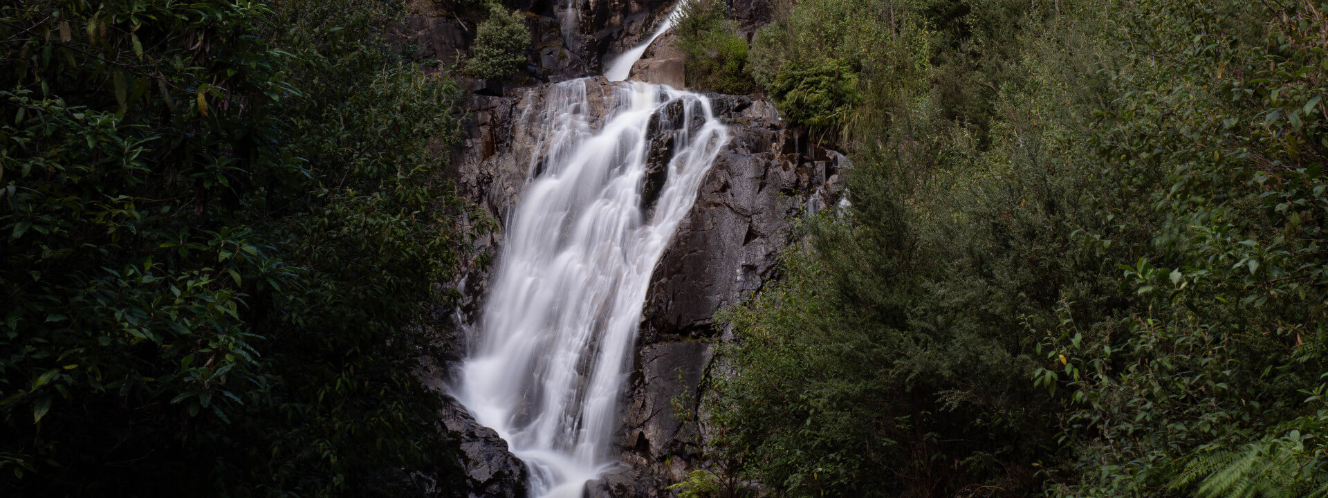 Landscape with OM SYSTEM - Steavenson Falls (Victoria, Australia) - OM ...