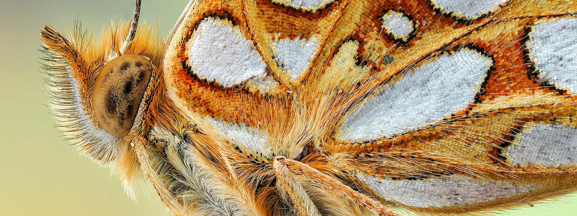 Blisko, bliżej, MACRO! - szkolenie podstawowe | Edycja IX - OM Digital Solutions